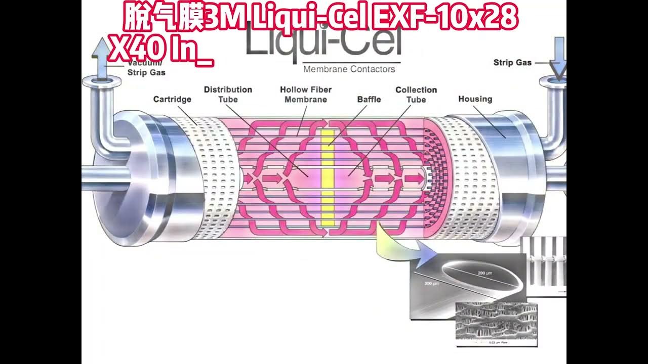 Degassing Membrane 3M Liqui-Cel EXF-10x28 Series Membrane Contactor X40 Degassing Principle ...
