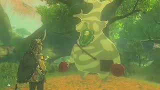 BotW MM - Quick Shrines Lost Woods u0026 Lizards | Doovi