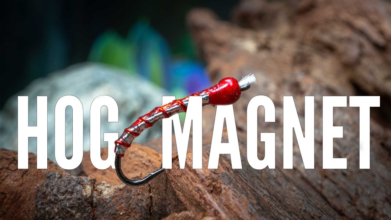 How to tie the Hog Magnet | AvidMax Fly Tying Tuesday Tutorials - YouTube