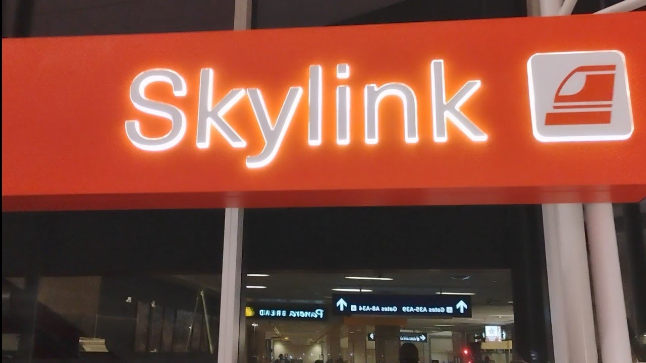 How to Get Around Dallas Fort Worth Airport Terminal D to SkyLink Train ...