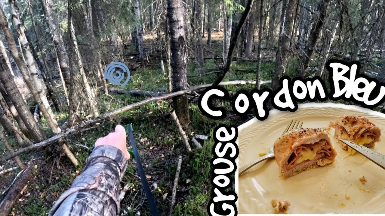 Slingshot Grouse Catch and Cook(Grouse Cordon Bleu) - YouTube
