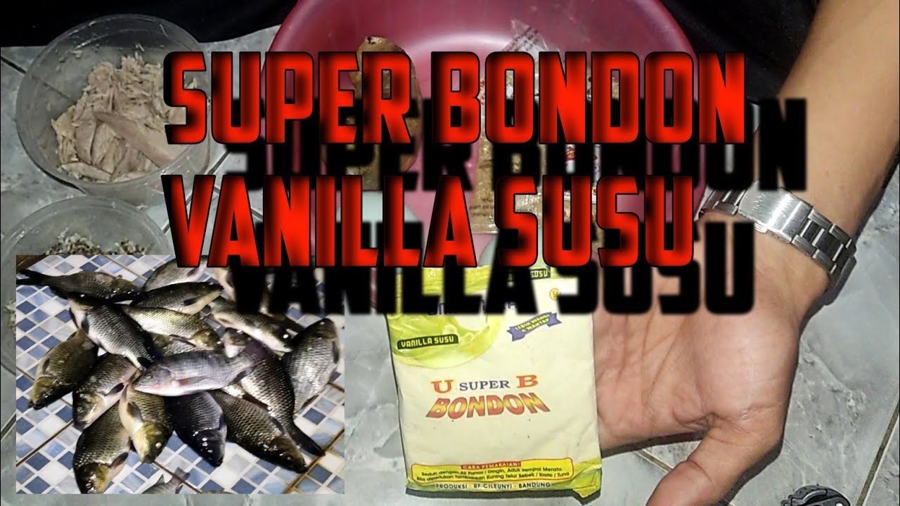UMPAN IKAN MAS | SUPER BONDON VANILLA SUSU - YouTube