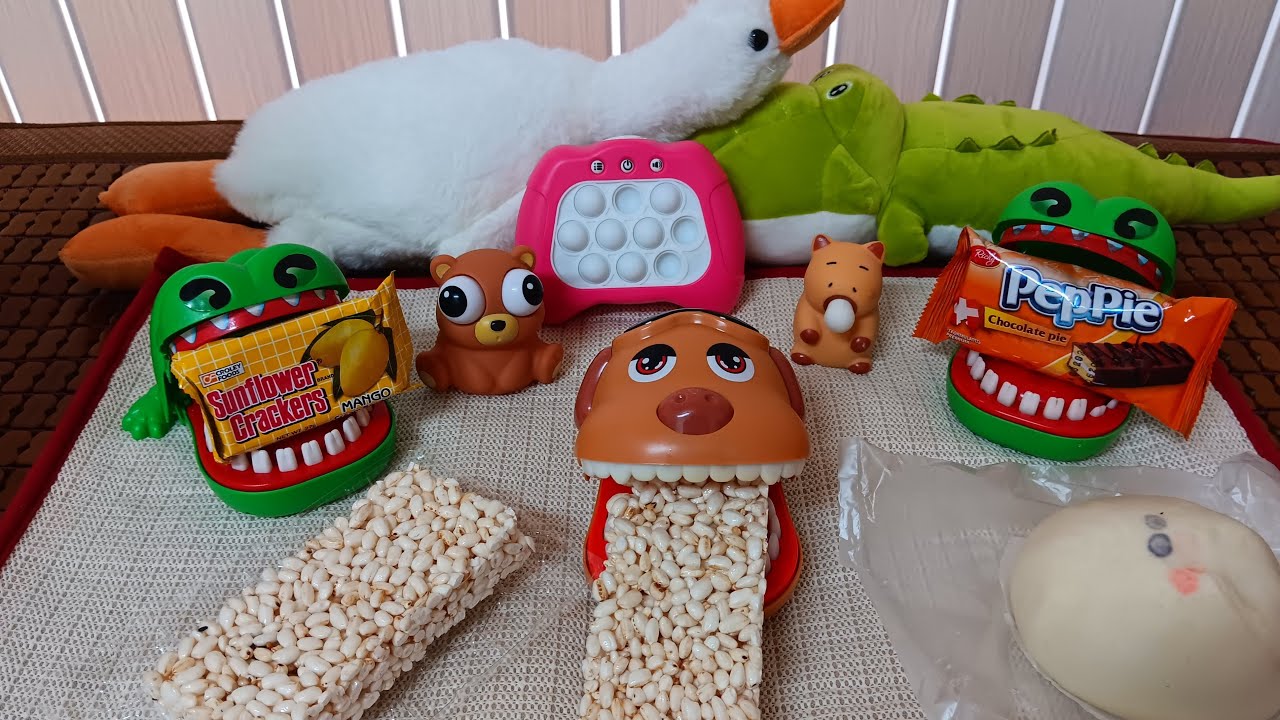 CRAZY Dog HAPPY Eating and Play lest go Tq - YouTube