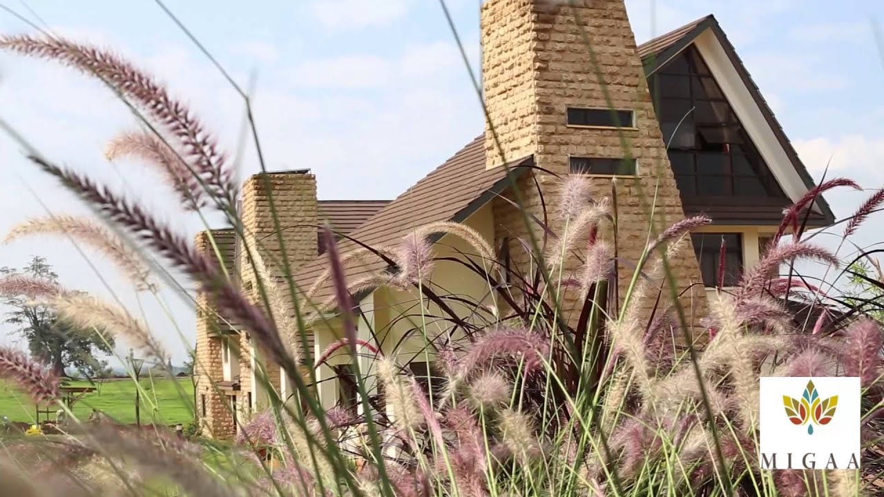 Opportunities at Migaa - With Maina Kageni - YouTube