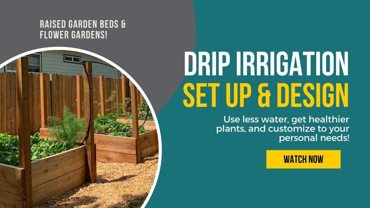 Drip Irrigation (Microdrip) Set Up & Design - YouTube