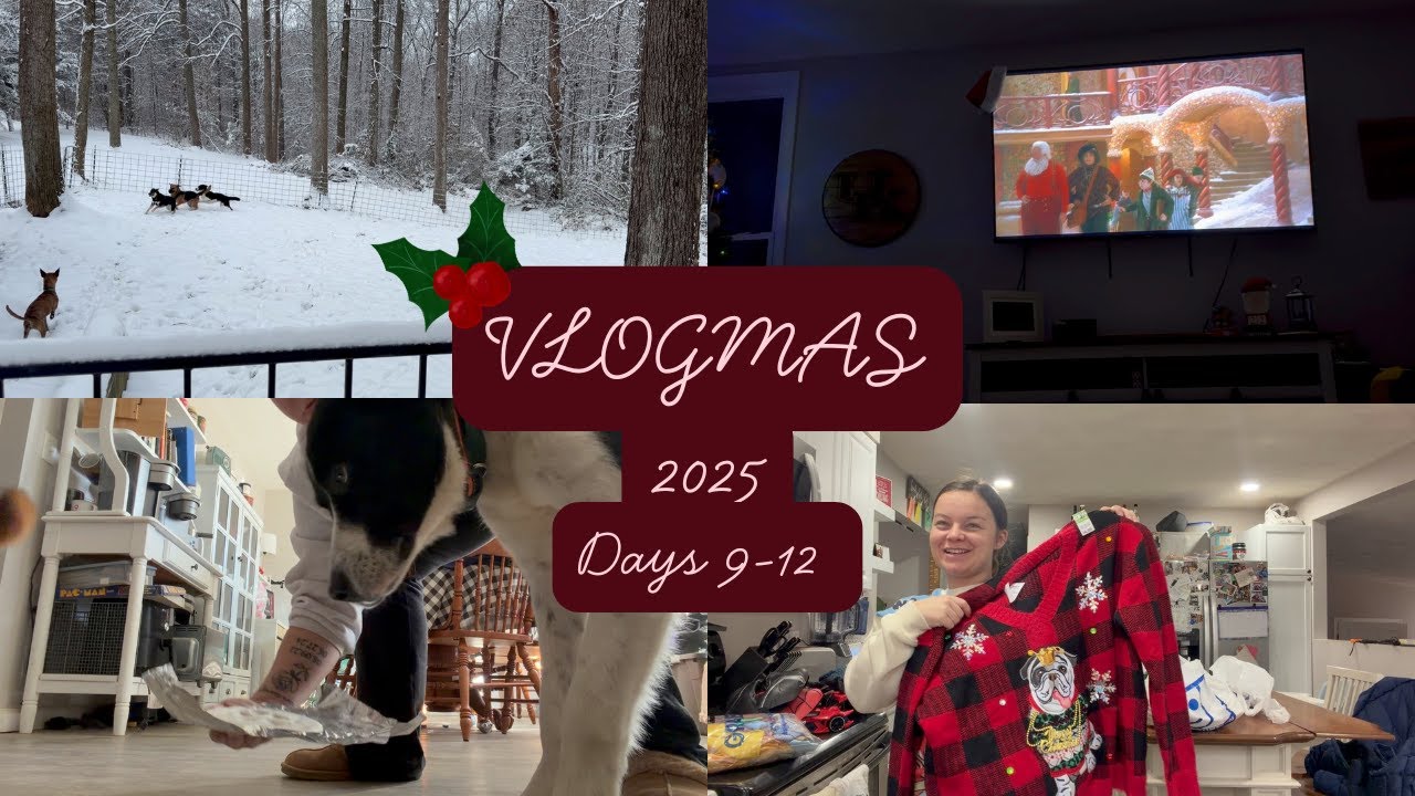 Vlogmas 2025 Days 9-12 | Cleaning, Muffing Making, and an AMAZING ...