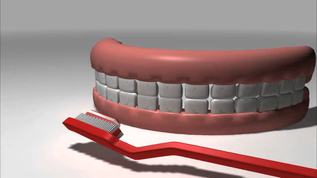 Signal Toothpaste Simple 3D animation - YouTube