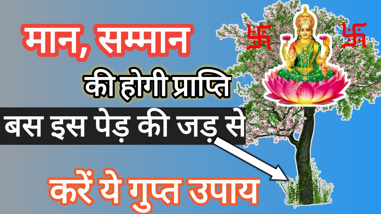 मान सम्मान प्राप्ति के उपाय। maan samman prapti ke upay - YouTube