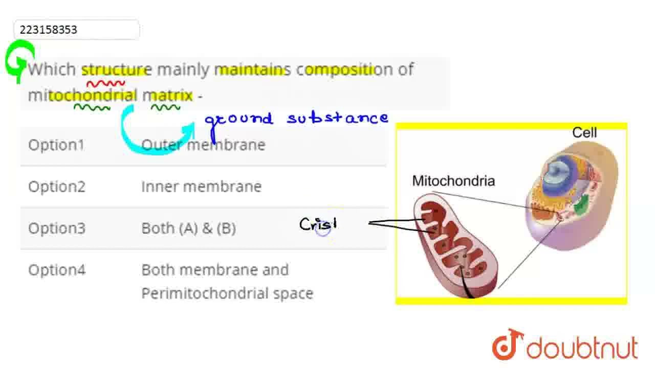 Mitochondrial Matrix