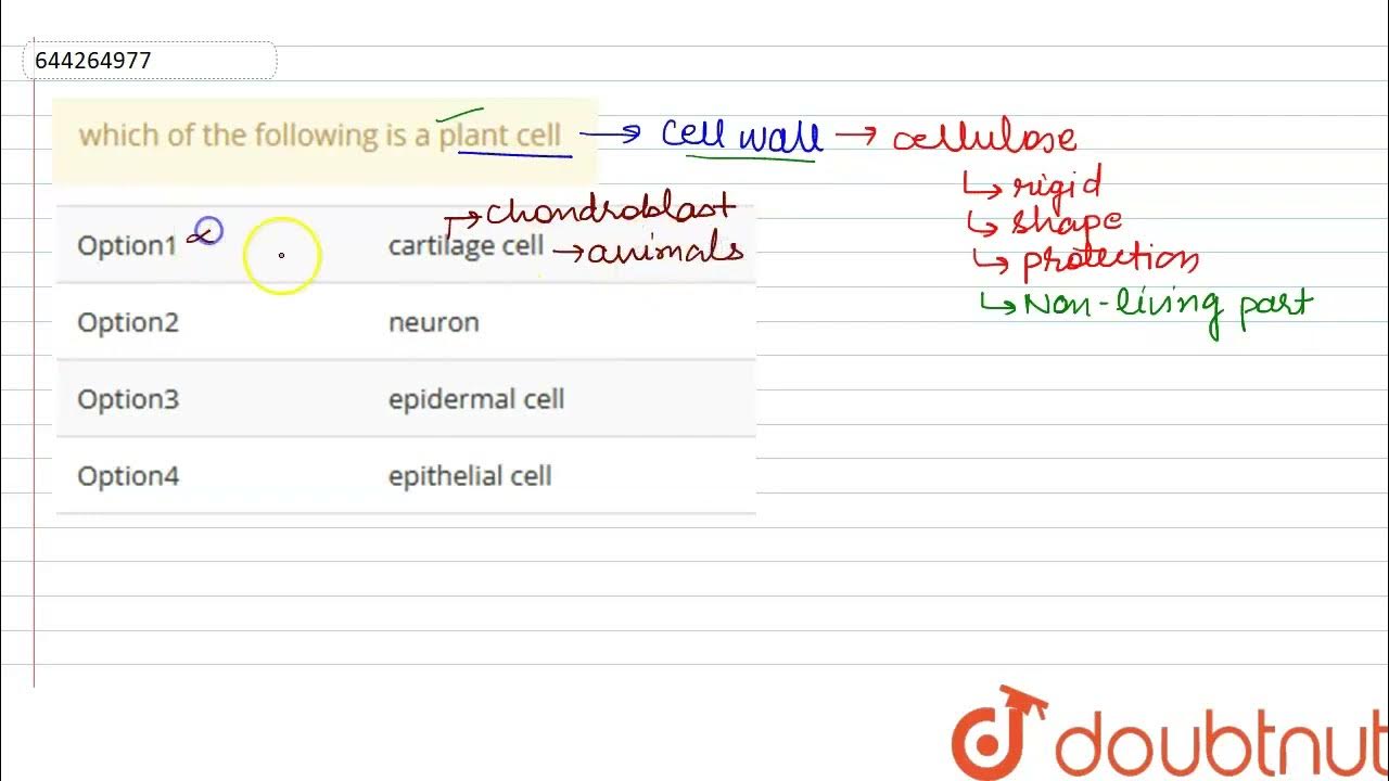 which of the following is a plant cell | CLASS 8 | CELL STRUCTURE AND FUNCTIONS | BIOLOGY | Dou ...