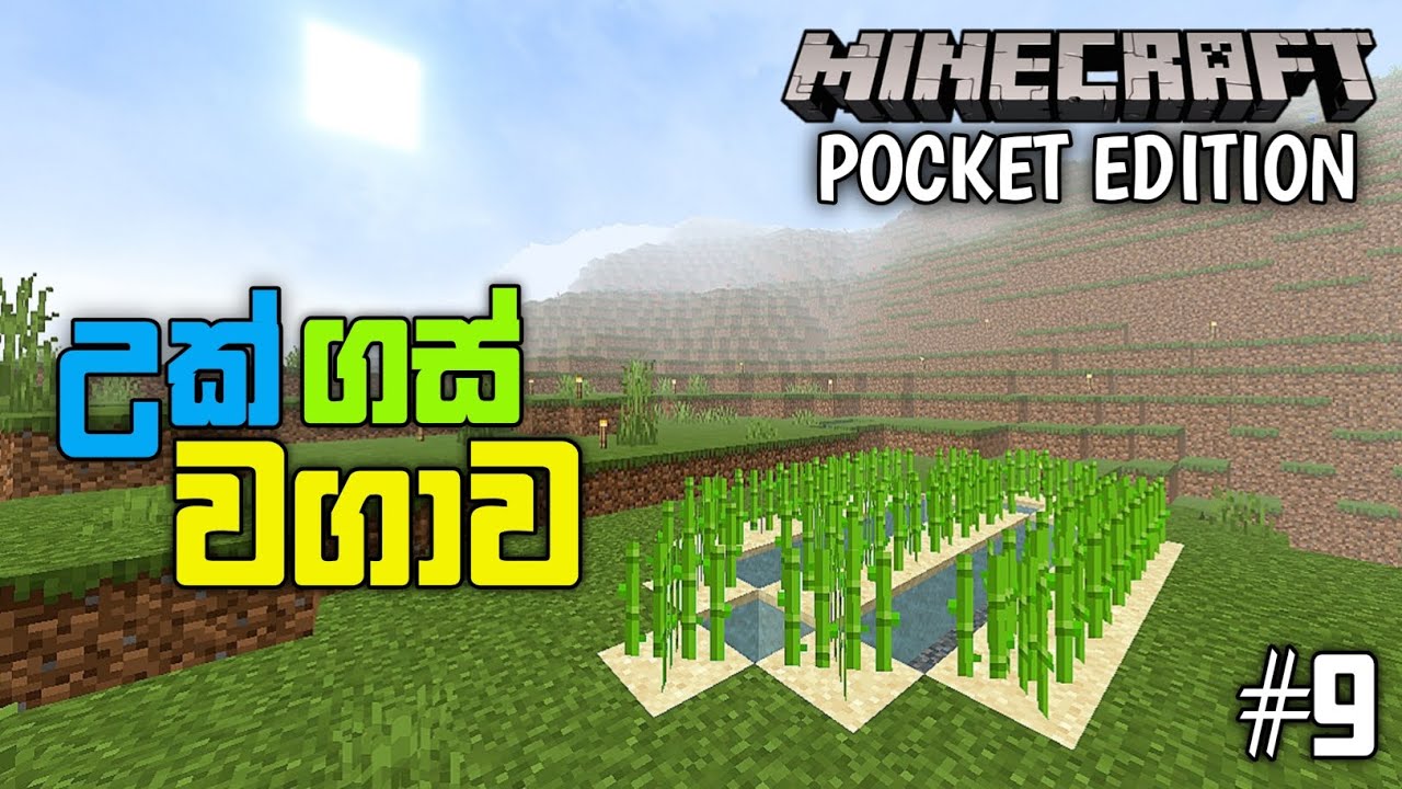 උක් ගස් වගාව 🌳 | Minecraft bedrock sinhala gameplay | Minecraft bedrock ...