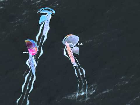 RYC Cup 2010 Raster Vs Cedric 21