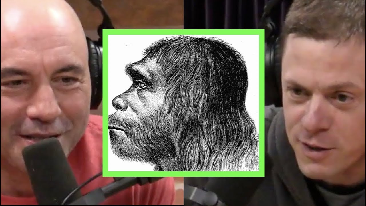 Joe Rogan & Steve Rinella on Neanderthals - YouTube