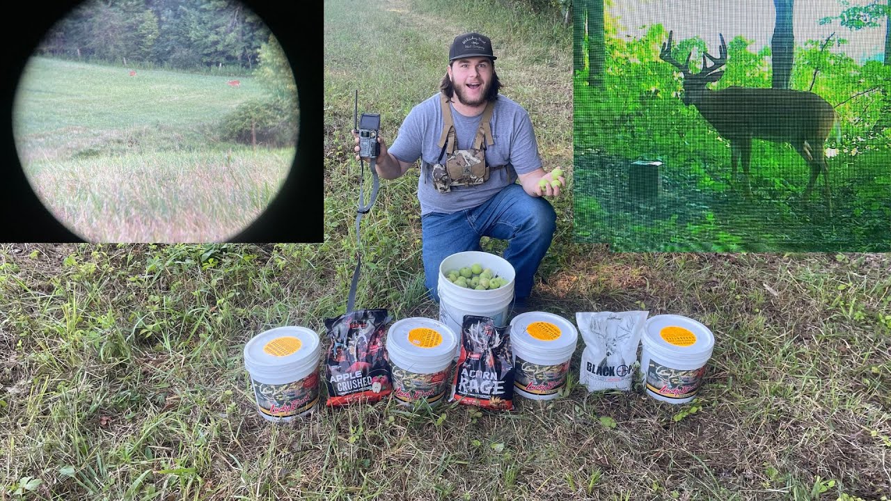 Summer Prep/ Scouting Trip| The Chase S1E1 - YouTube