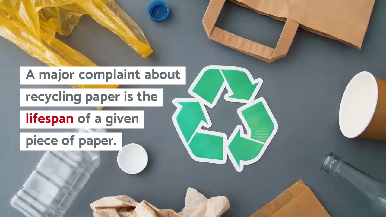 What REALLY happens when you recycle paper - YouTube