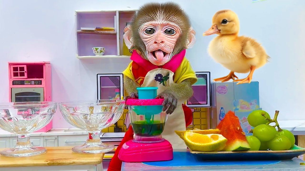 Mono BuBu Tries a New Fruit Salad Recipe - Yummy Fruit Salad Recipe ...