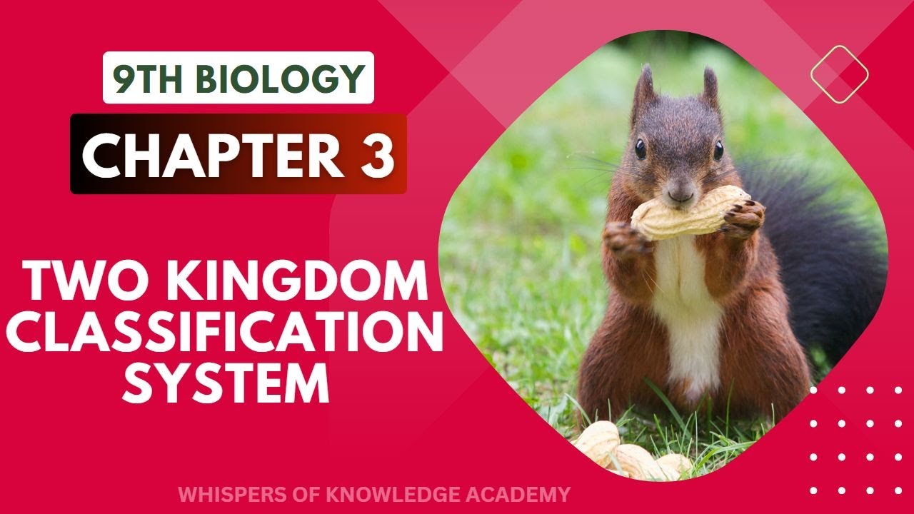Two Kingdom Classification System | 9th Biology Chapter 3 Lecture 9 | # ...