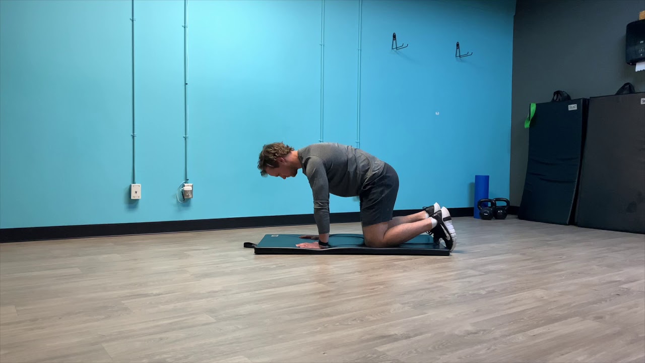 Quadruped Protraction/Retraction - YouTube