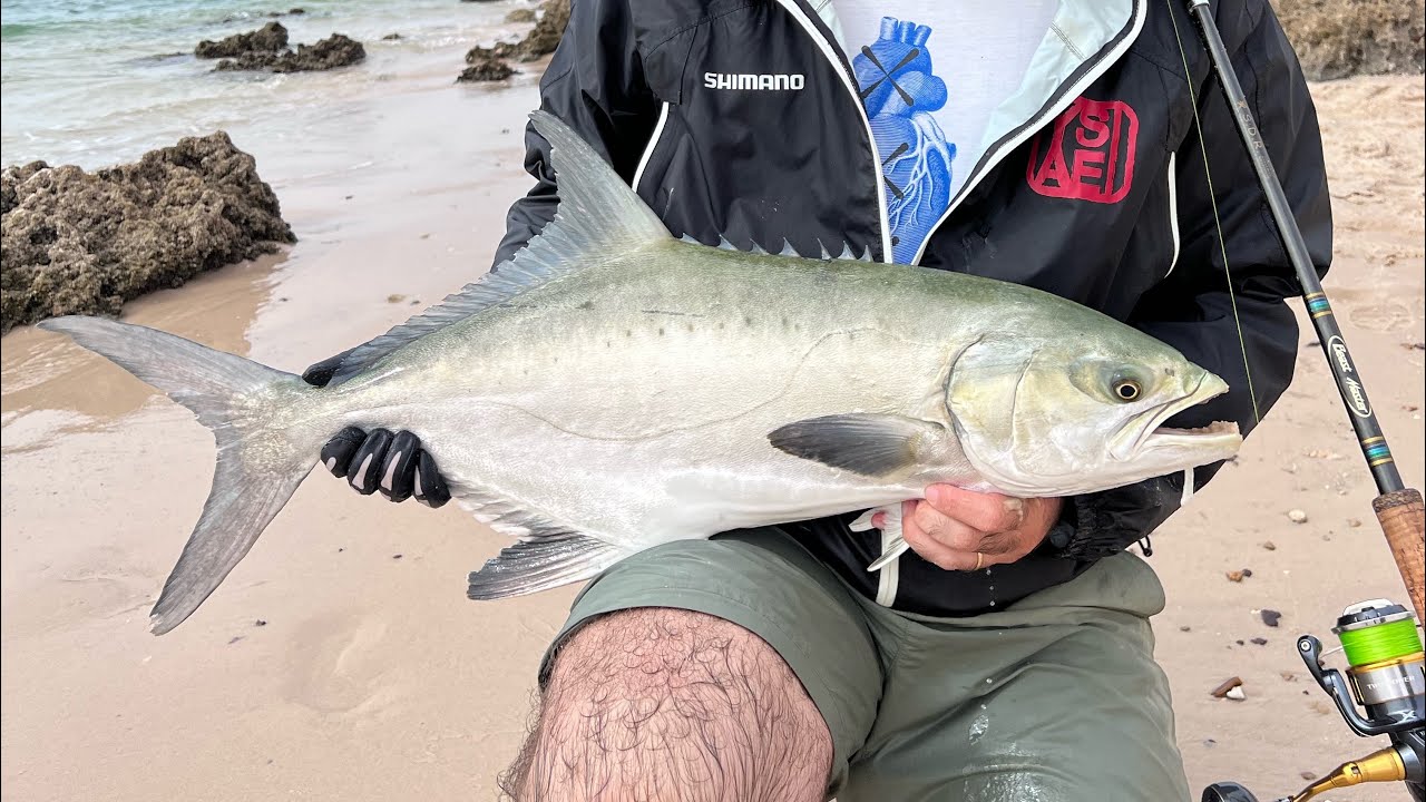Leerfish fishing in Morocco Pêche a la lîche au Maroc - YouTube