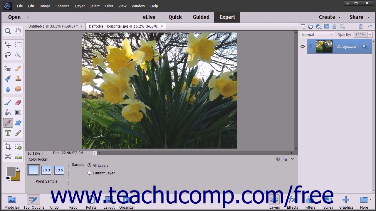 Photoshop Elements 15 Tutorial Selecting Colors with the Color Picker ...