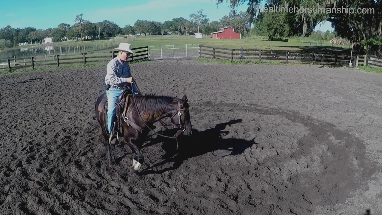 Warm up Part 2 - Bolo Hunt - YouTube