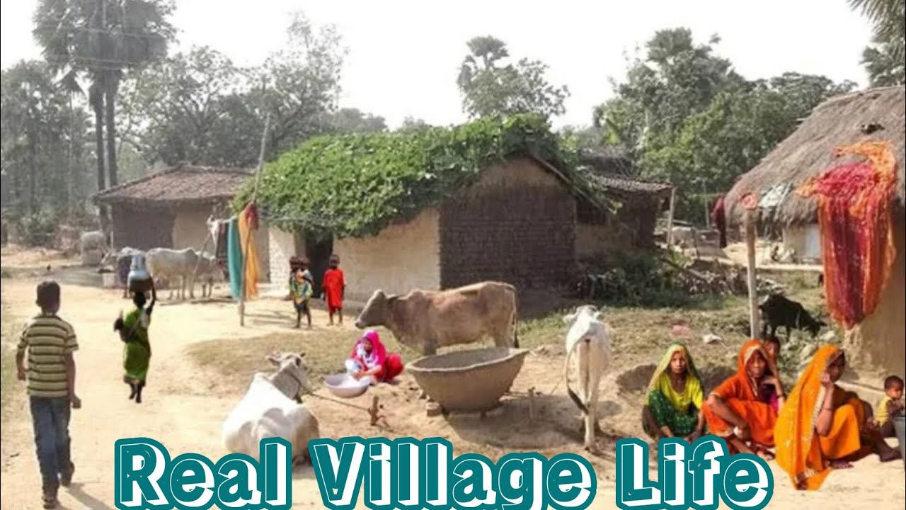 Real Village Life India Daily Routine Farmer [] Rural Life In Up ...