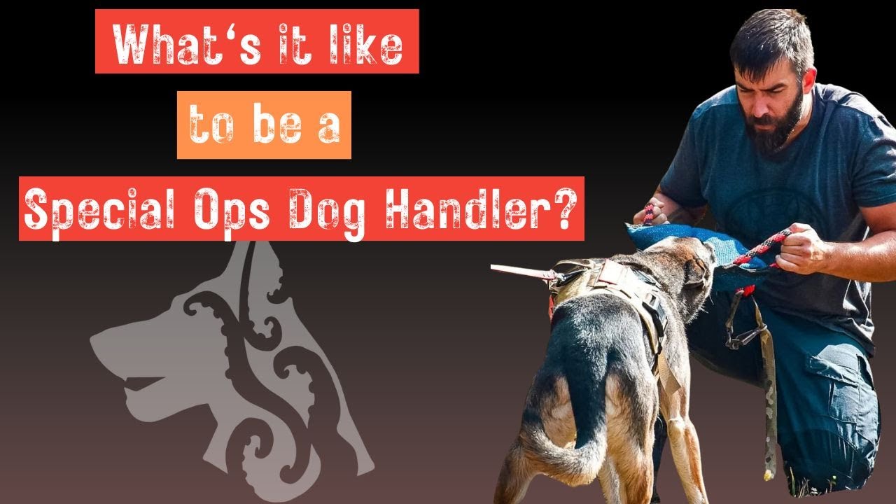 Interview With Retired Military Special Operations Dog Handler Rod ...