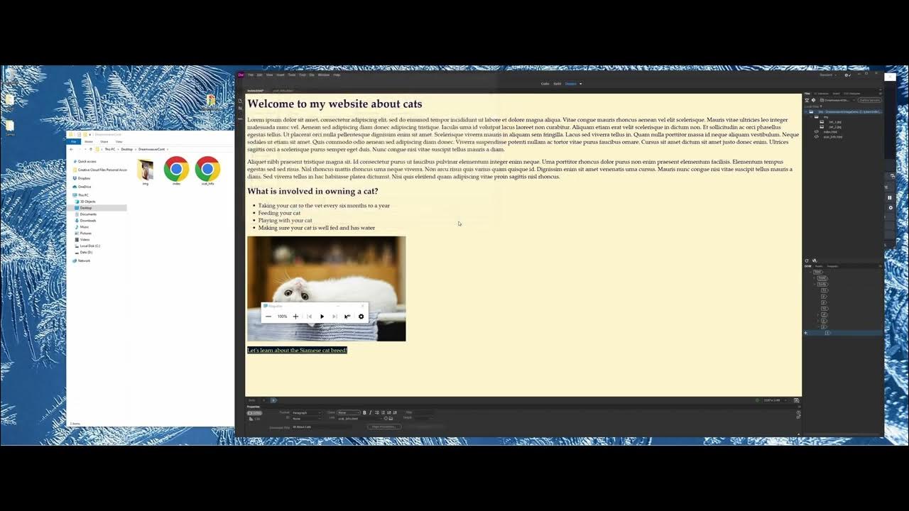 Creating links between web pages in Dreamweaver - YouTube