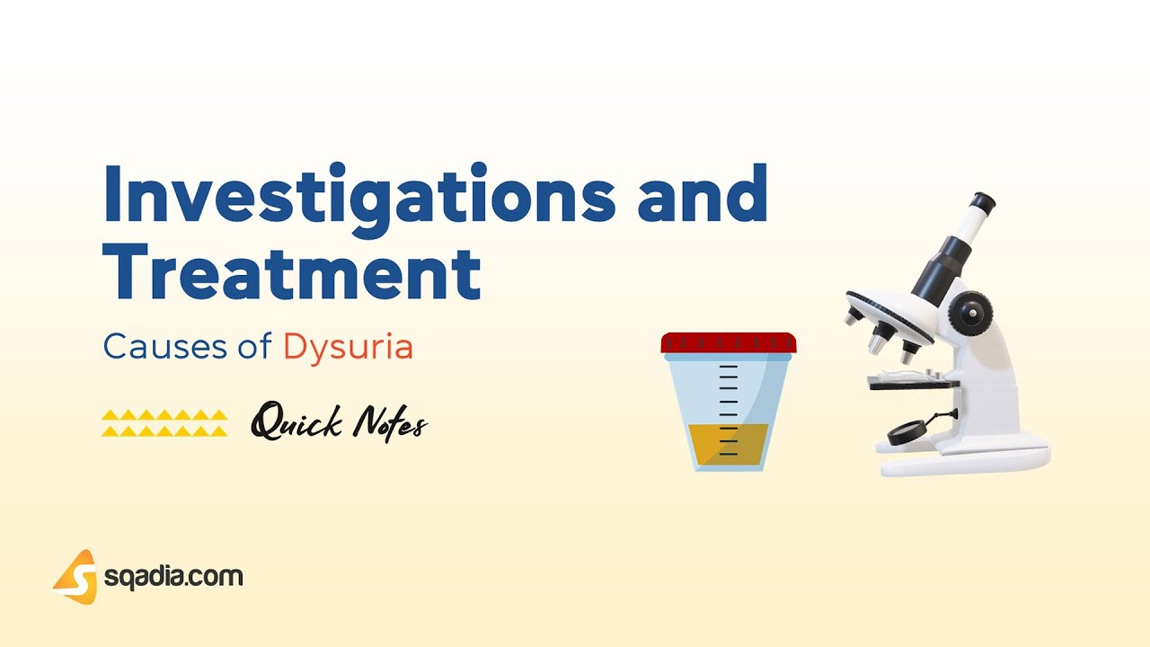 Causes of Dysuria | Investigations and Treatment - YouTube