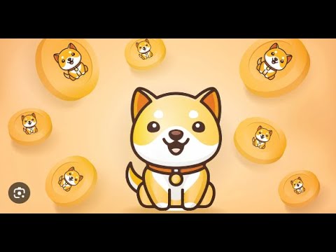 Baby Doge Meme Coin: The Pros and Cons of a Cuddly Crypto Sensation ...