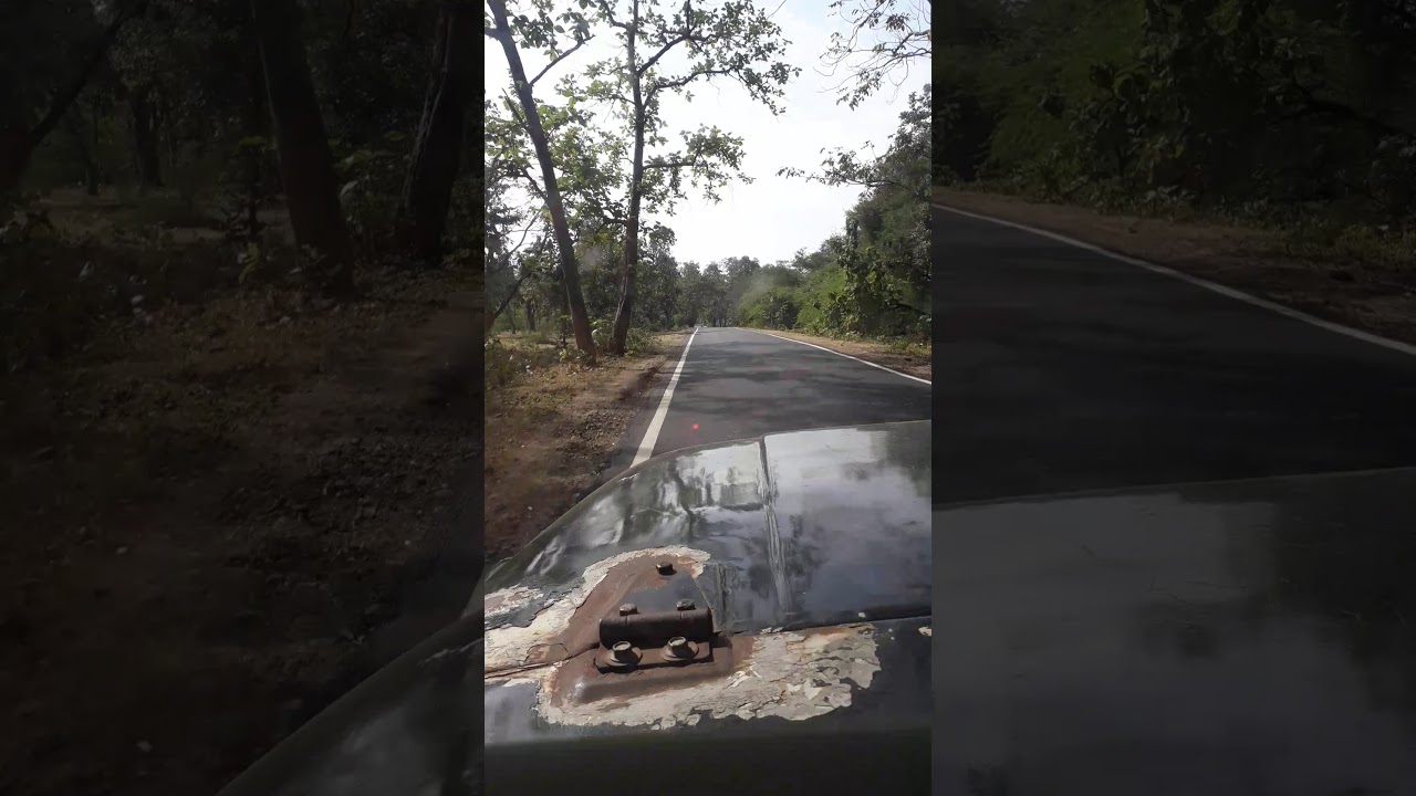 Allapalli to sironcha on NH 353 C district gadchiroli - YouTube