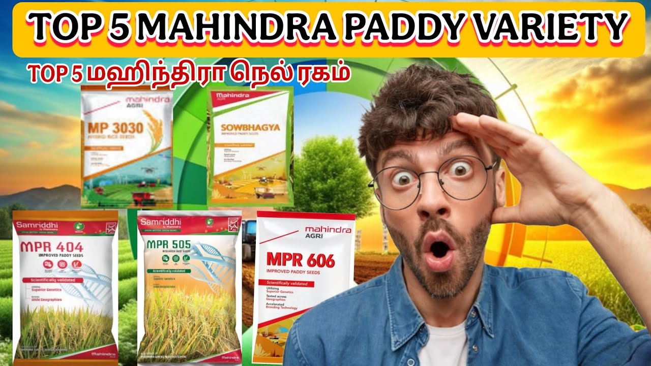 🌾 Top 5 Mahindra Paddy Varities | மகேந்திரா நிறுவனத்தின் சிறந்த ஐந்து ...