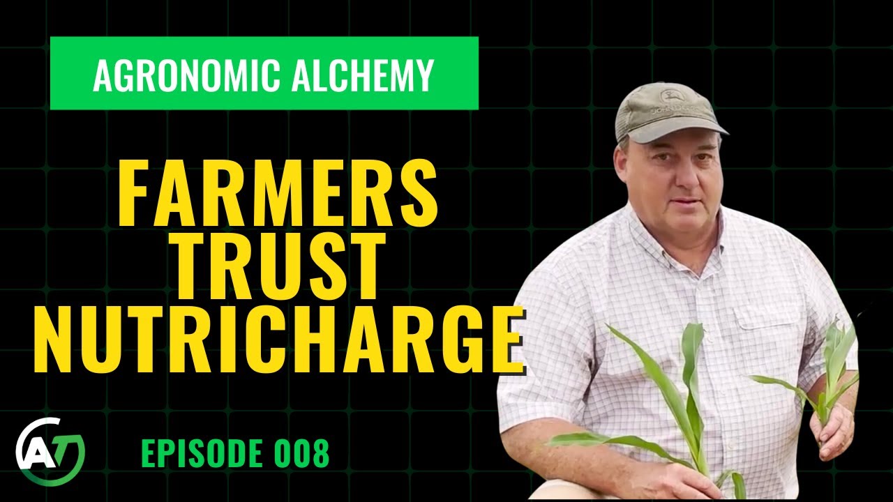 Dramatic Crop Improvements (Fertilizer Success at JCK Farms)-(Agronomic ...