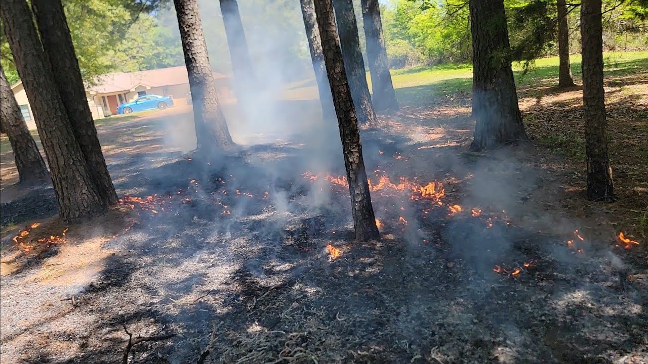 Burning Stuff 1346: Controlled Burn 5 - YouTube