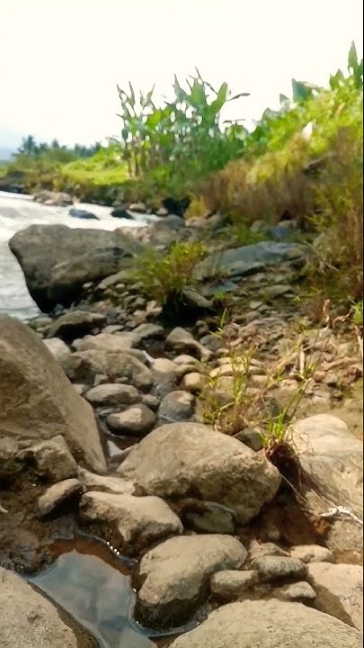 DOLAN MENG KALI - YouTube