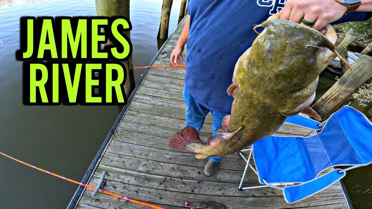 Targeting BIG FLATHEAD & BLUE CATFISH in THE JAMES RIVER! JAMES RIVER ...