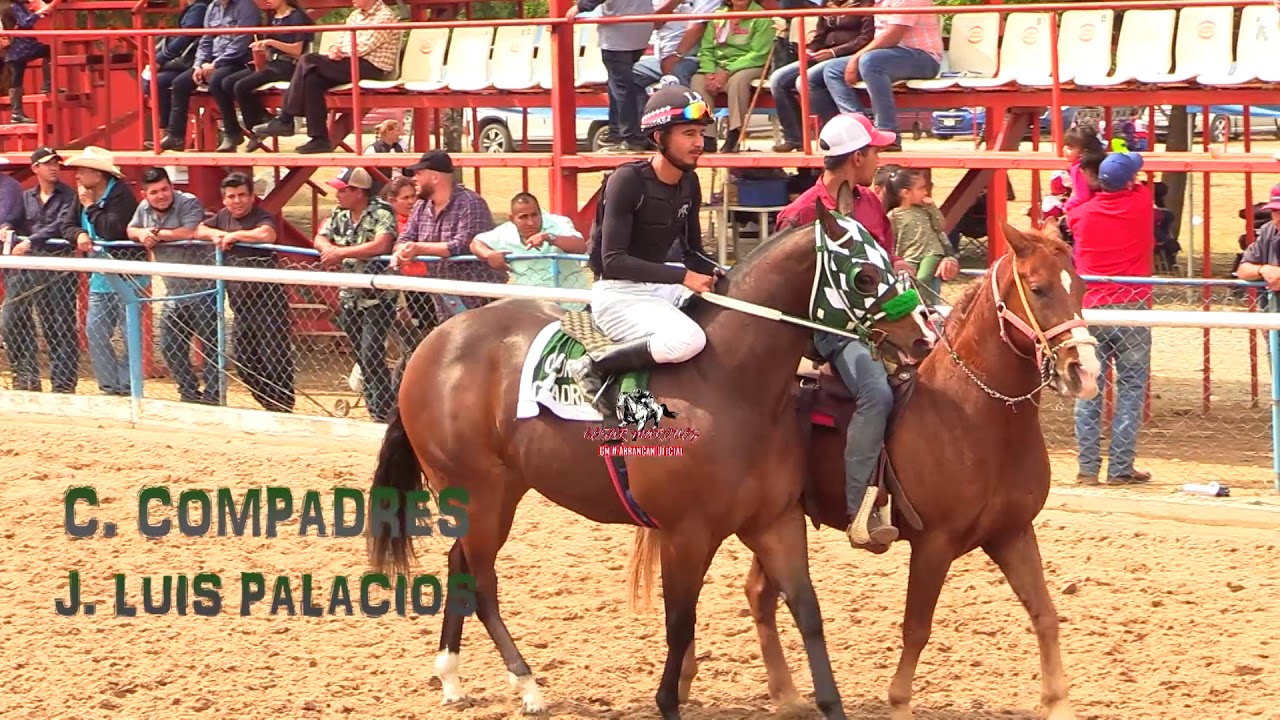 CUADRA DR GONZALEZ CUADRA RANCHO SECO NG CUADRA COMPADRES 250 YDS - YouTube