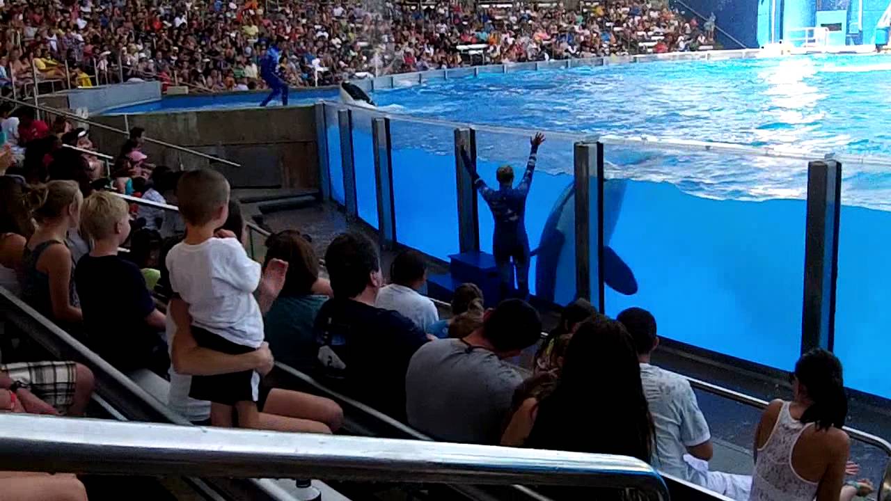 Sea World One Ocean Soak Zone - YouTube
