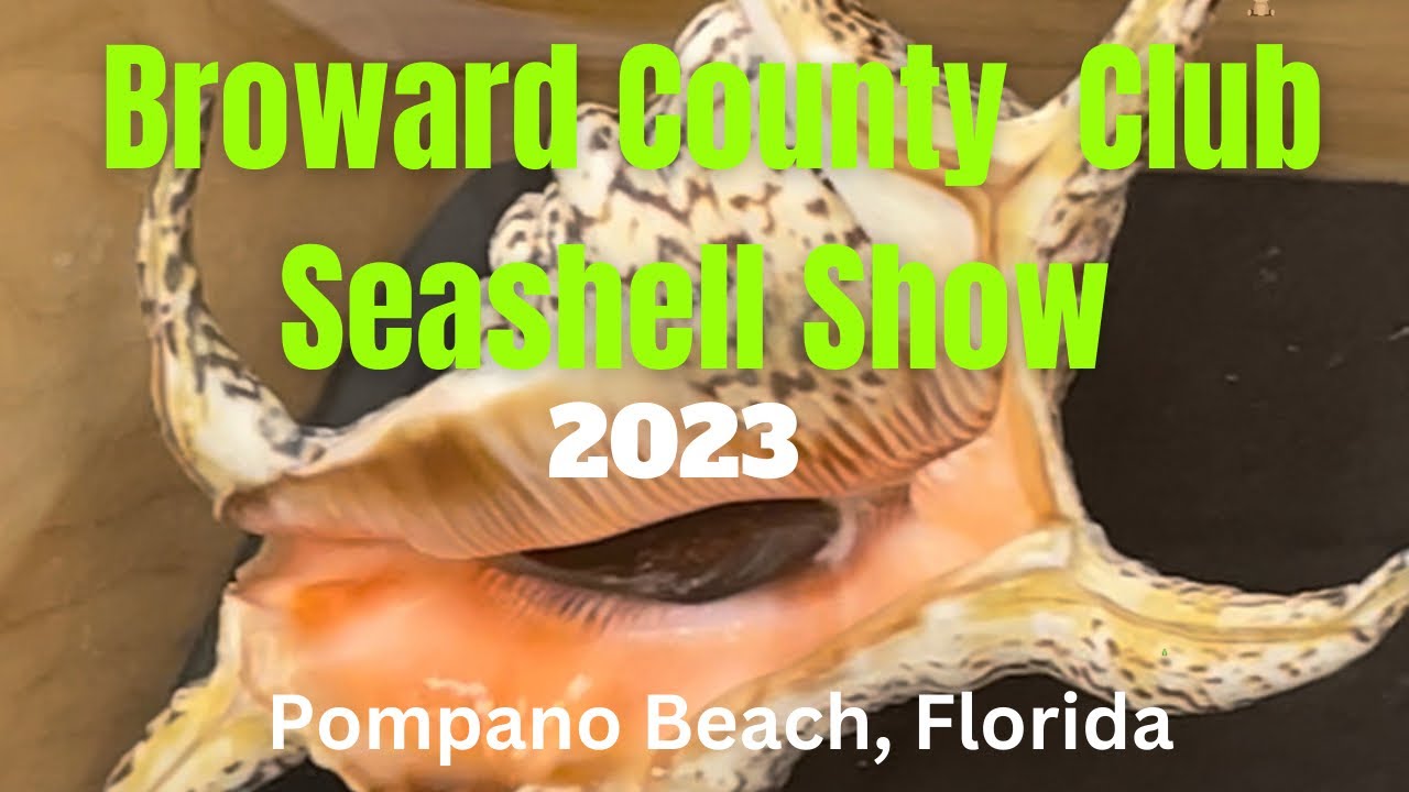 Annual Broward County Club Shell Show - Seashells - YouTube