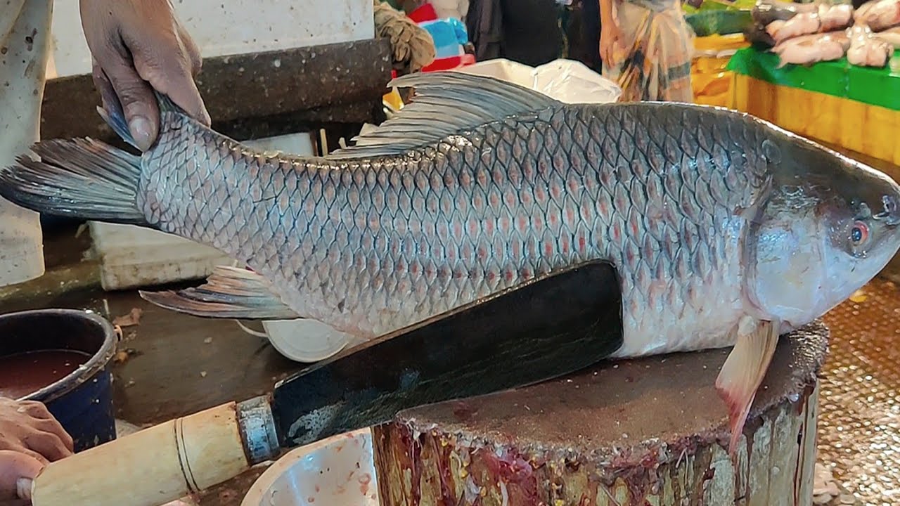 Big Rui Fish Skinning & Chopping By A Expert Fish Cutter | Fish Ranger ...