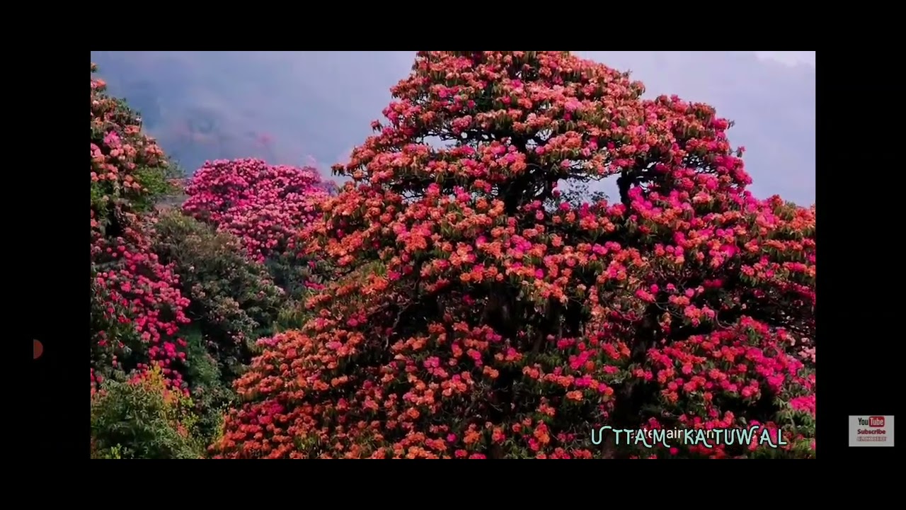 Laligurash ||beautiful Nepal🇳🇵 - YouTube