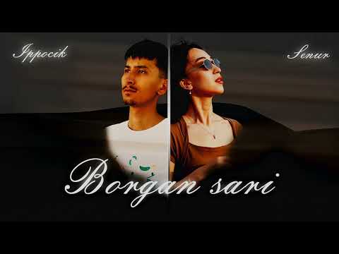 Ippocik & SEVNUR - BORGAN SARI @MUSIKUZB 