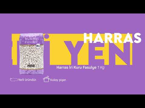 File'nin En Yeni Üyesi: Harras İri Fasulye