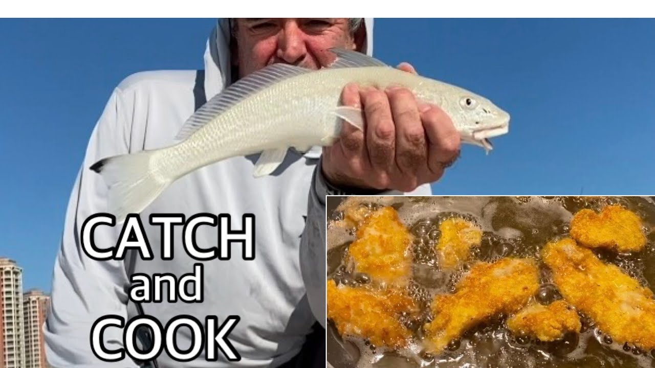 Beach fishing for dinner *CATCH AND COOK* - YouTube