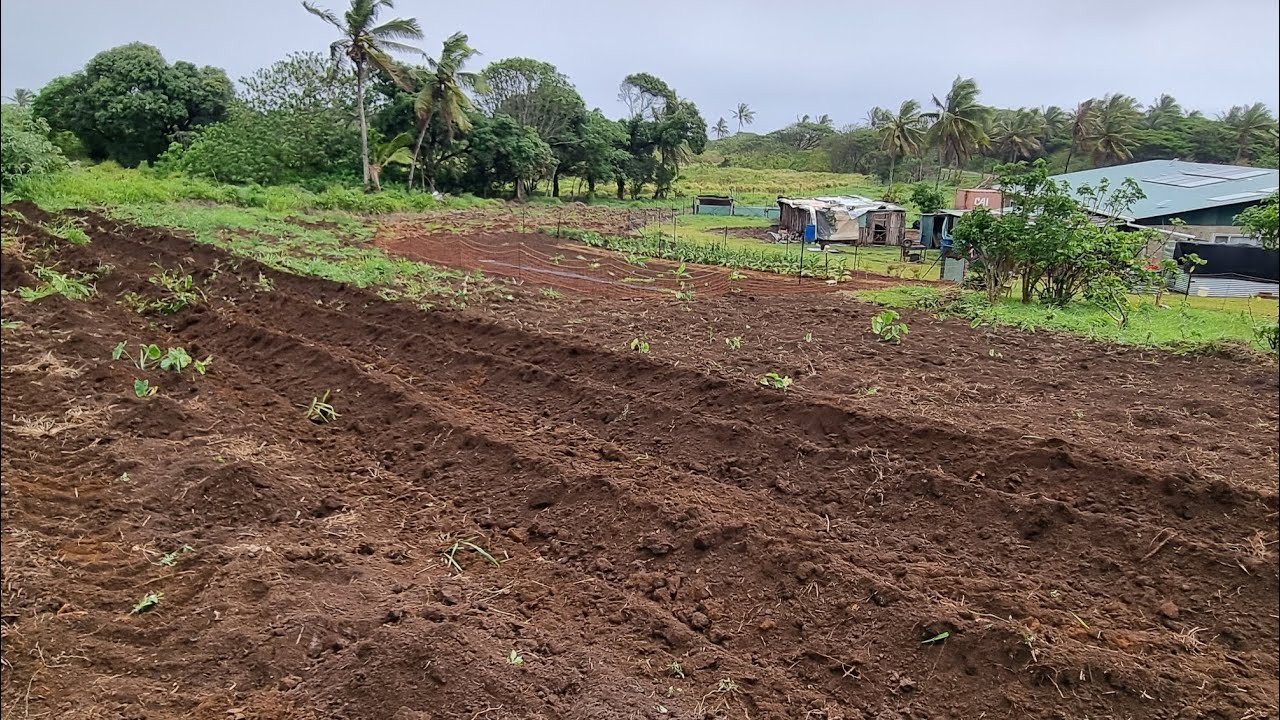 Update on Planting and Land. - YouTube