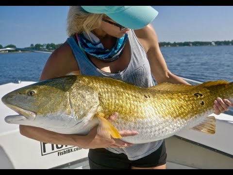 Bull Red Drum Fishing the NEUSE RIVER! GIANT TROPHY REDFISH! - YouTube