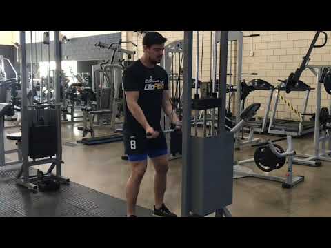 Triceps Polia Cross Peg invertida - YouTube