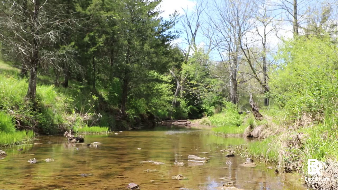 A relaxing field in the spring and a small creek - - YouTube
