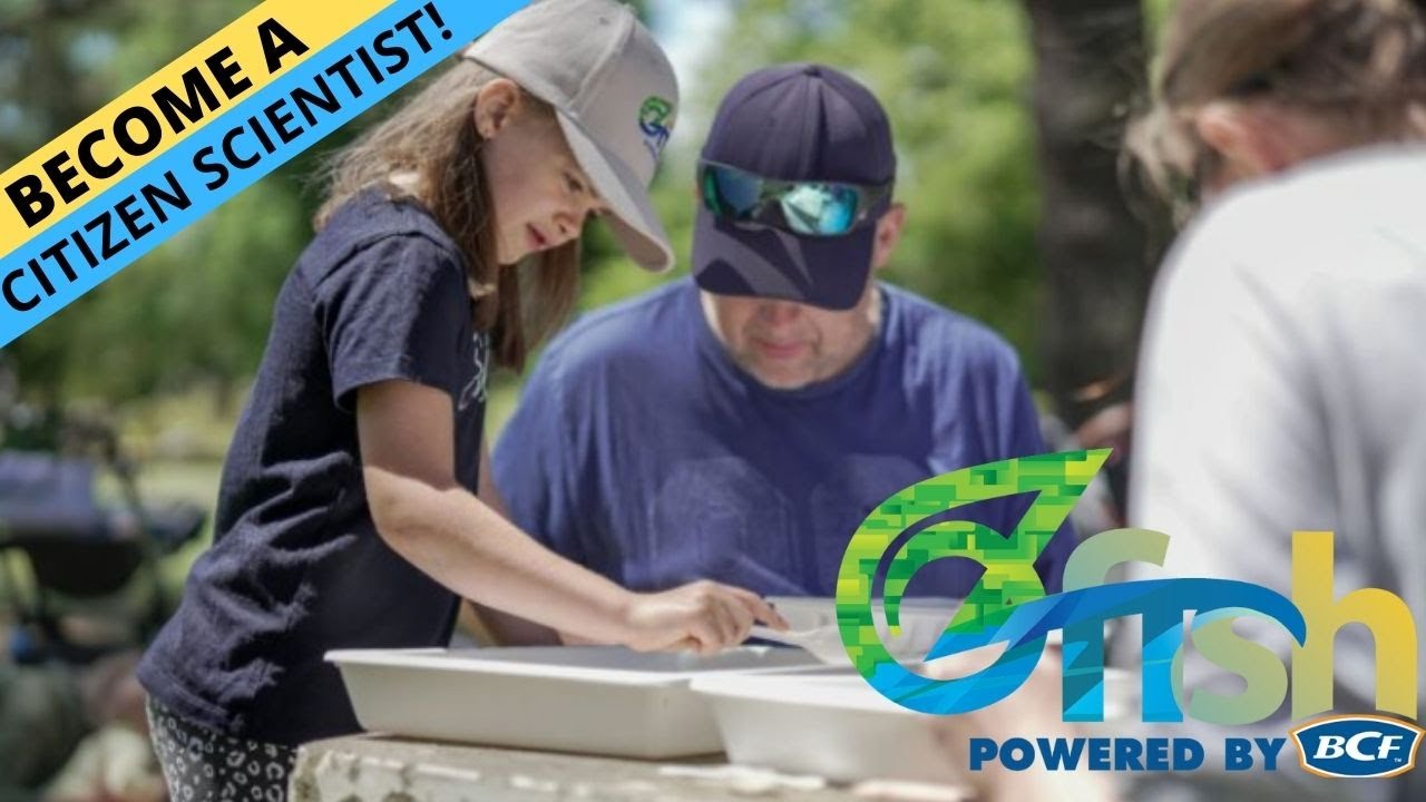 How YOU Can Become A Citizen Scientist & Help Protect Our Fish! - YouTube