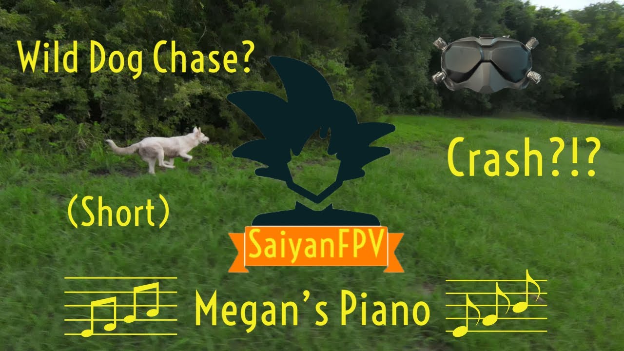 Wild Dog Chase | FPV Drone | CRASH? | DJI FPV - YouTube